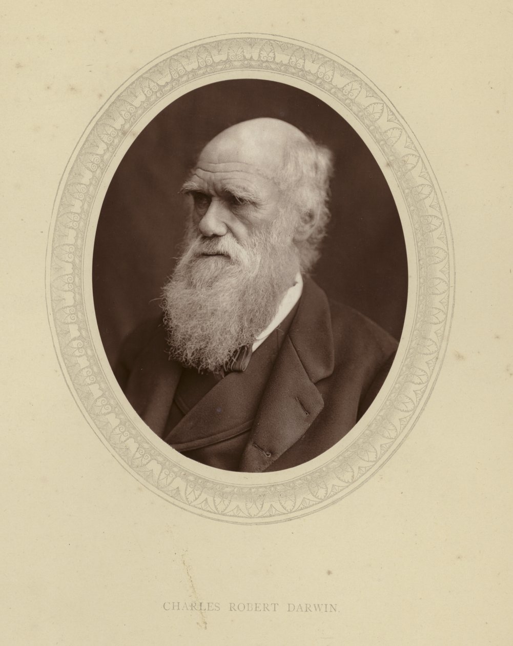 Charles Robert Darwin by English Photographer